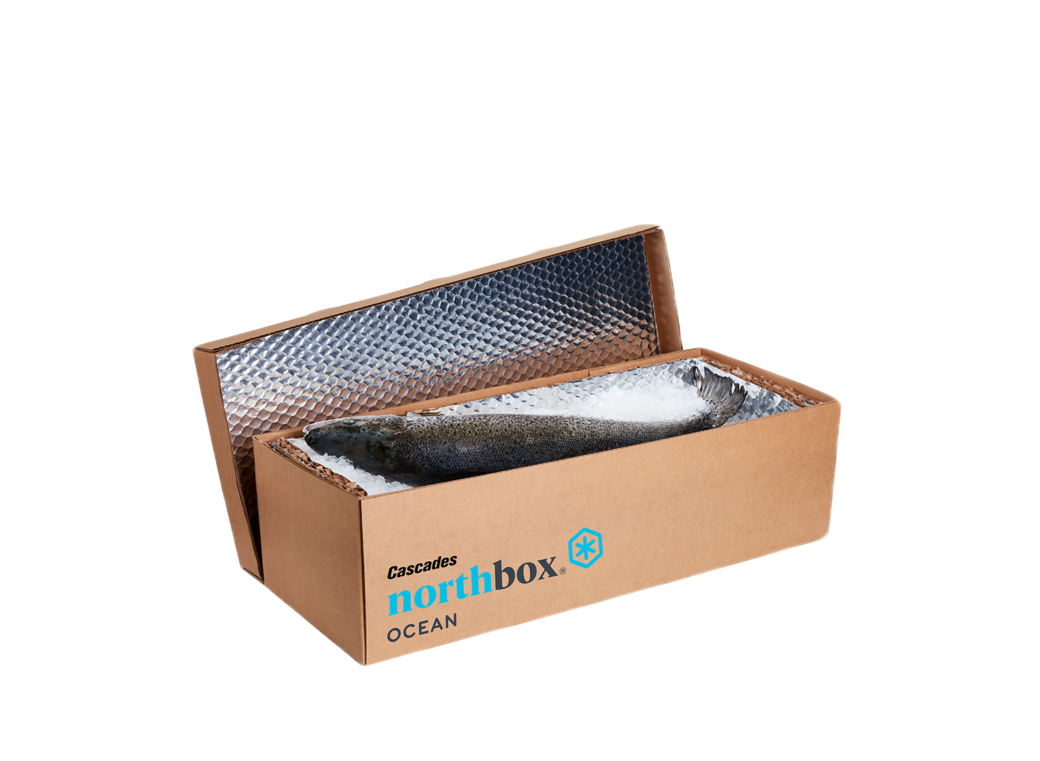 northbox OCEAN fish and seafood isolated shipping boxes